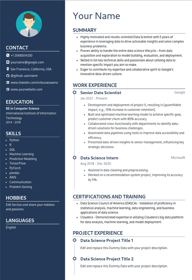 11+ Professional Resume Templates | 1MillionResume